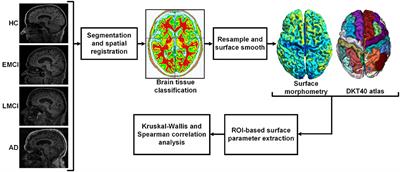 Frontiers | Gray Matter Deterioration Pattern During Alzheimer's Disease Progression: A Regions ...